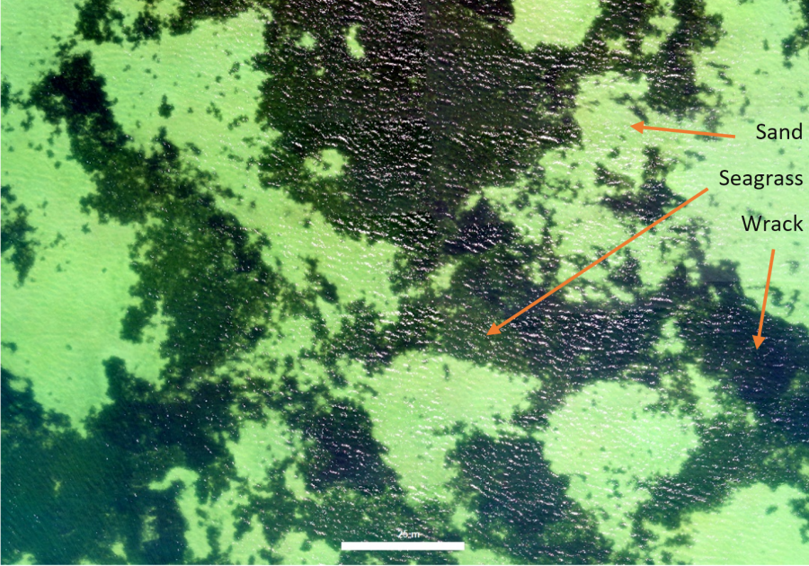 HOW TO SEE SEAGRASS? WITH DRONES! – Spatial Points